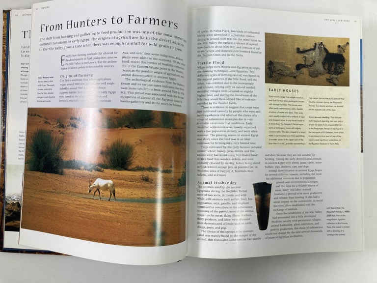 Egypt: Land and Lives of the Pharaohs Revealed Hardcover Book by Cheryl ...