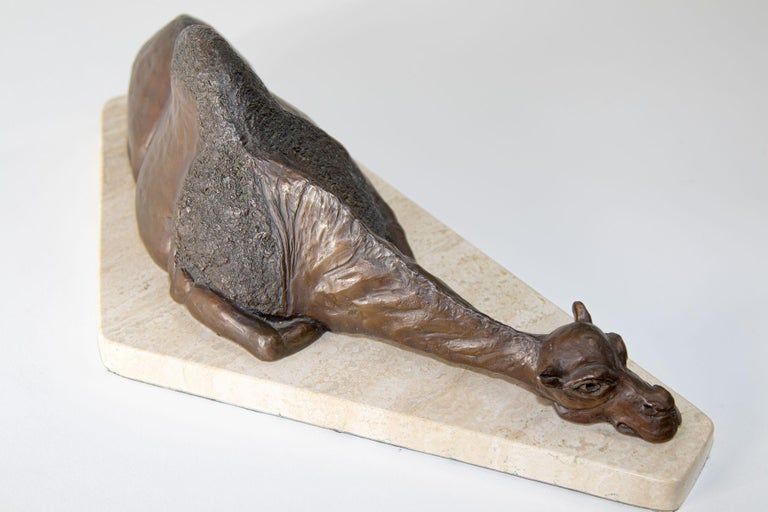 Egyptian Middle Eastern Resting Camel Sculpture on Marble Stand For ...