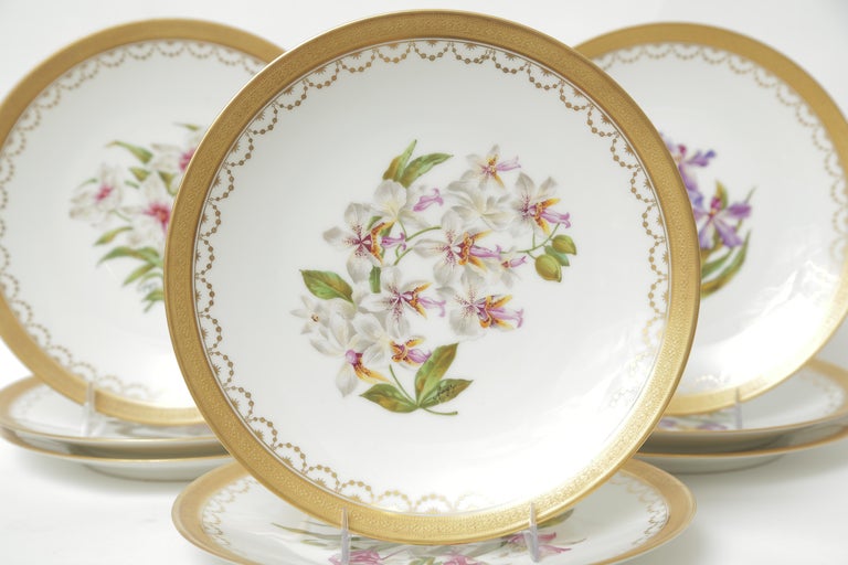 Eight Orchid Plates, Antique Limoges France Hand Painted Artist Signed ...