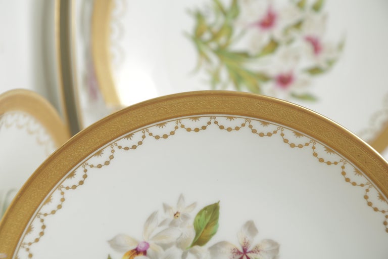 Eight Orchid Plates, Antique Limoges France Hand Painted Artist Signed ...
