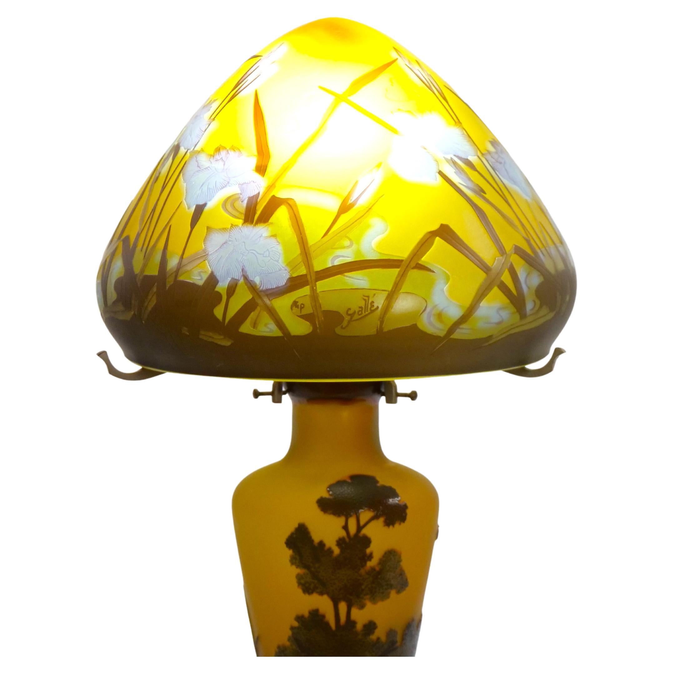 Electrified Galle Cameo Glass Art Nouveau Table Lamp For Sale at ...