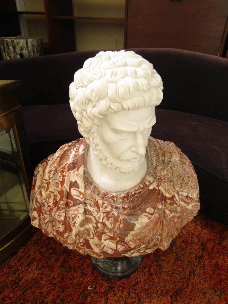 Elegant Greek Marble Bust For Sale at 1stDibs