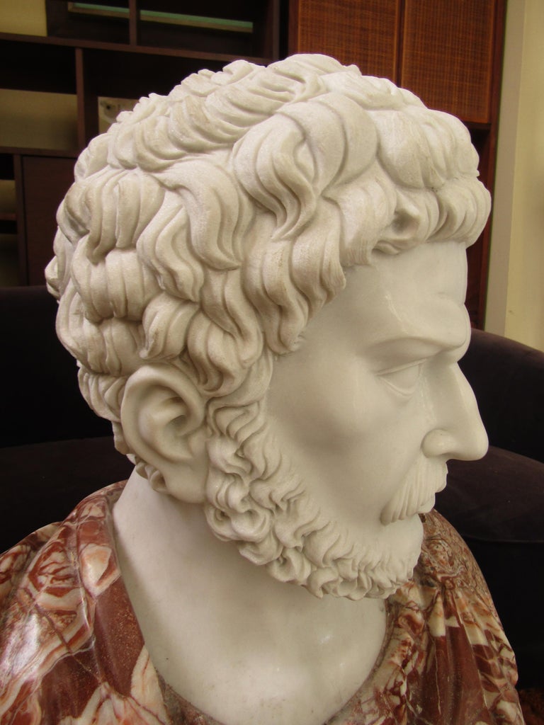 Elegant Greek Marble Bust For Sale at 1stDibs