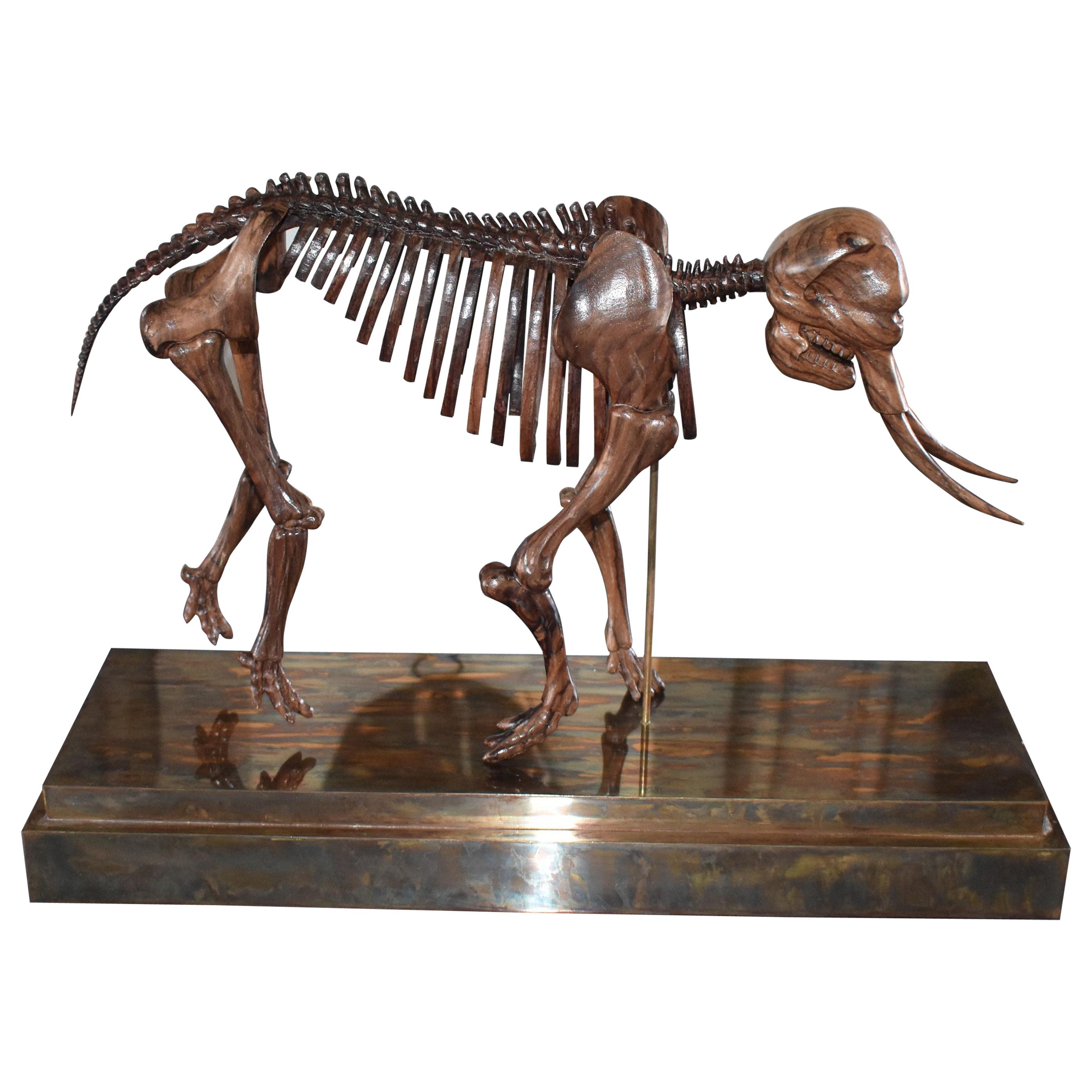 Elephant Skeleton - 5 For Sale on 1stDibs