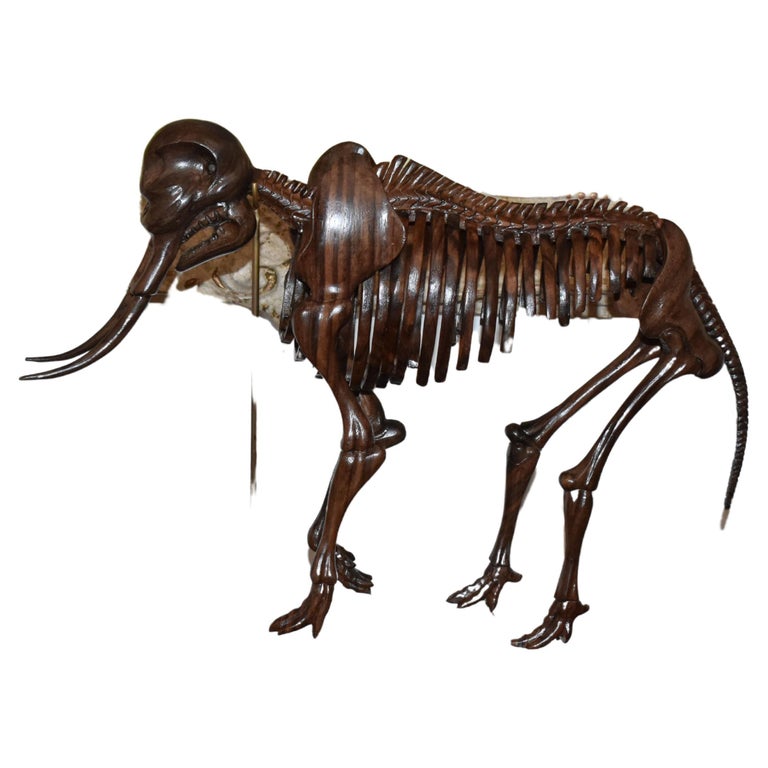 Elephant Skeleton
