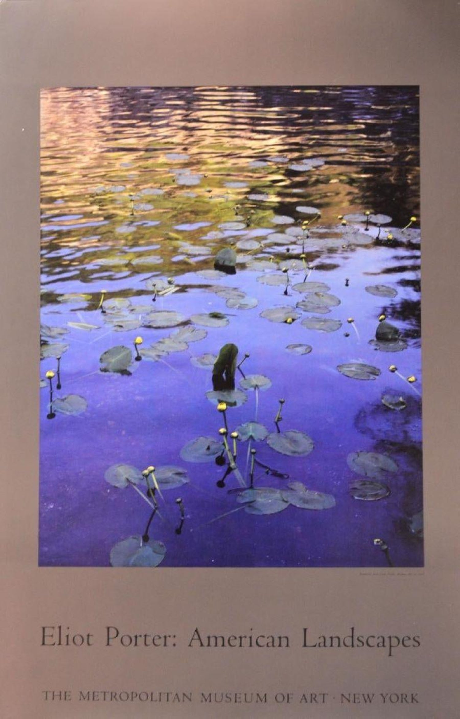 Eliot Porter Landscape Photography