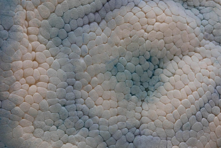 Elissa Lacoste Contemporary white and blue Puff in styrofoam and ...