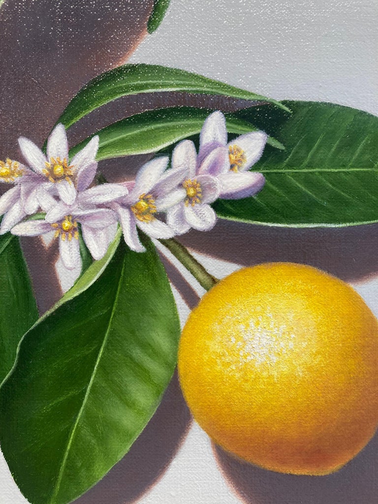 Elizabeth Barlow - California Bouquet For Sale at 1stDibs