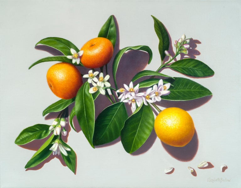 Elizabeth Barlow - California Bouquet at 1stDibs