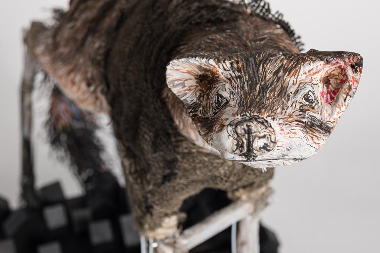 Elizabeth Jordan - Large Sculpture of Extinct Carnivorous Marsupial ...