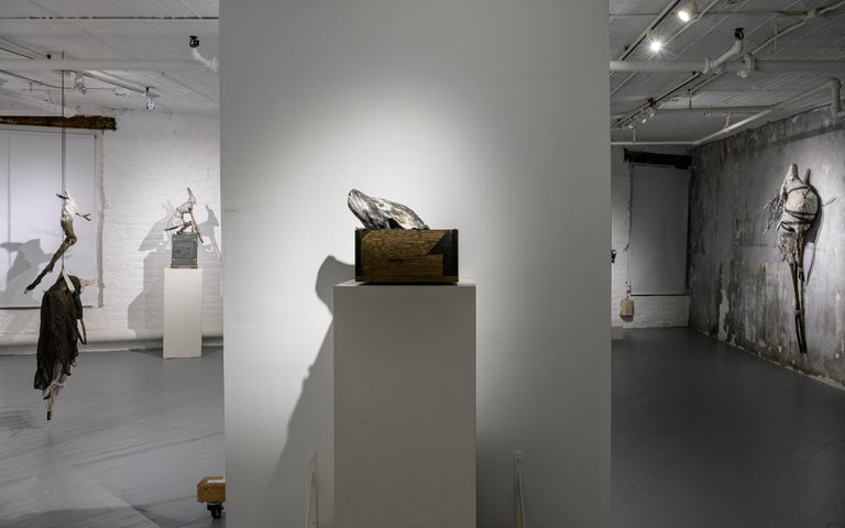 Elizabeth Jordan - Sculpture of Deer head in wood box: 'Free me from ...