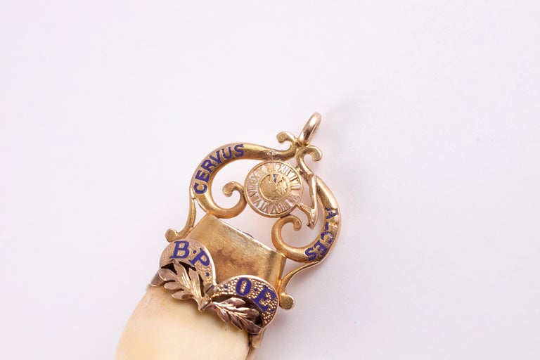 Elk's Lodge Tooth Fob For Sale at 1stDibs