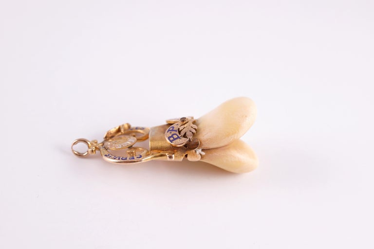 Elk's Lodge Tooth Fob For Sale at 1stDibs