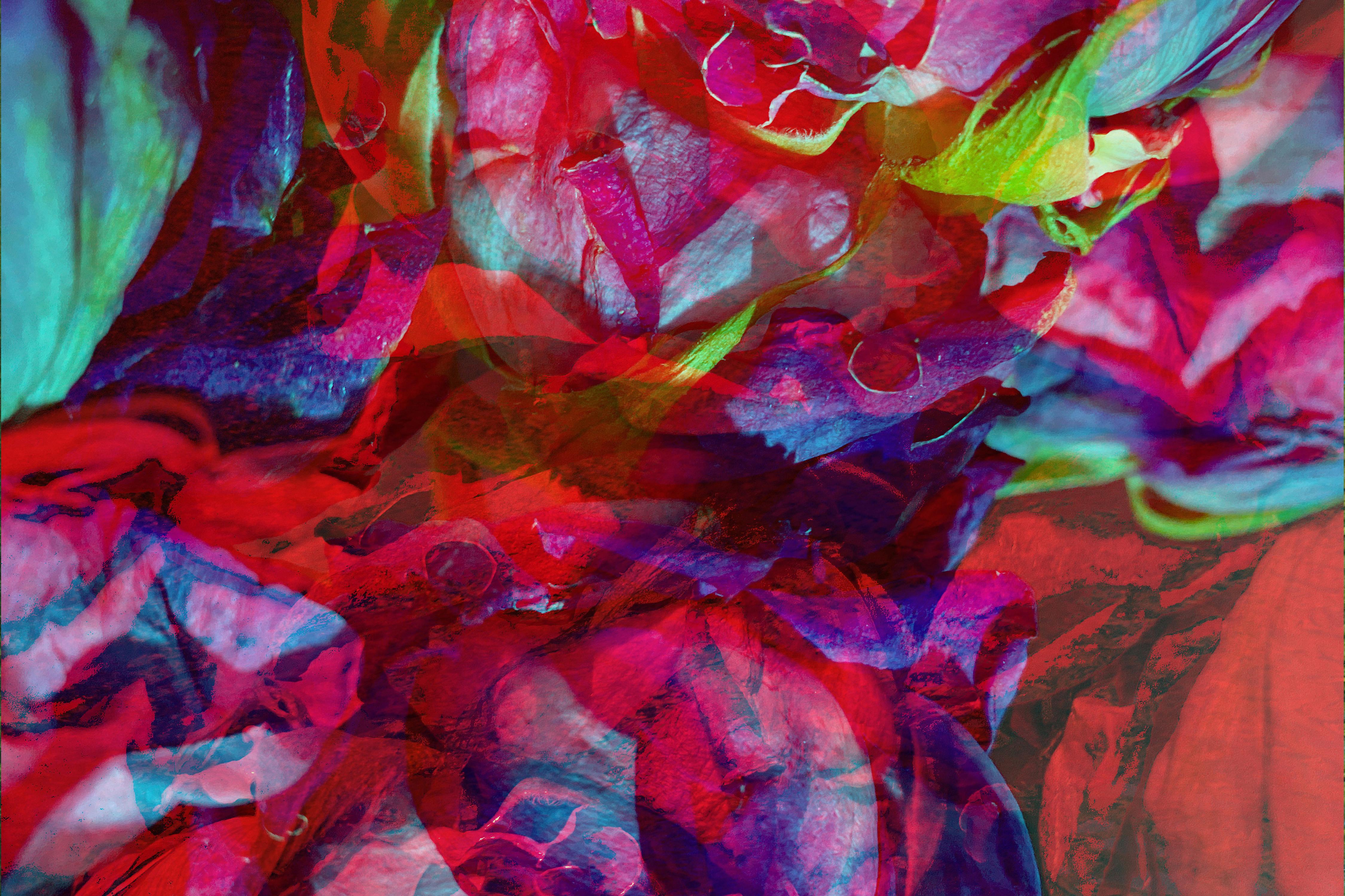 Ellen Martin + Kevin Hinkle - Hinkle_Etapas iniciales (Rojo) en venta ...