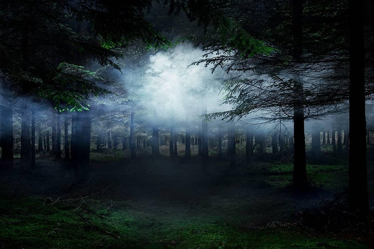 Ellie Davies - Between the Trees 4 - Conceptual photography, Forest ...