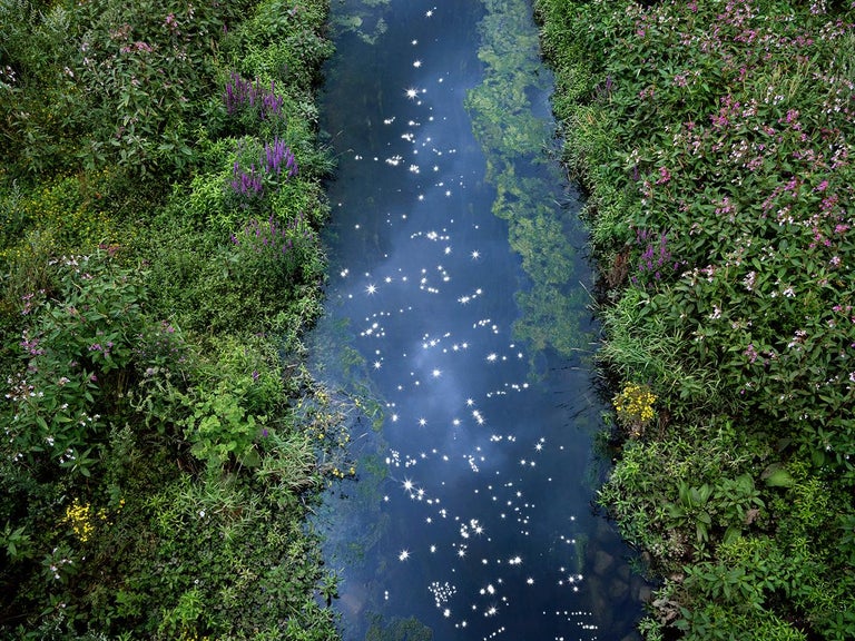 Ellie Davies - Chalk Streams 2, Ellie Davies - Nature Photograph, Water ...