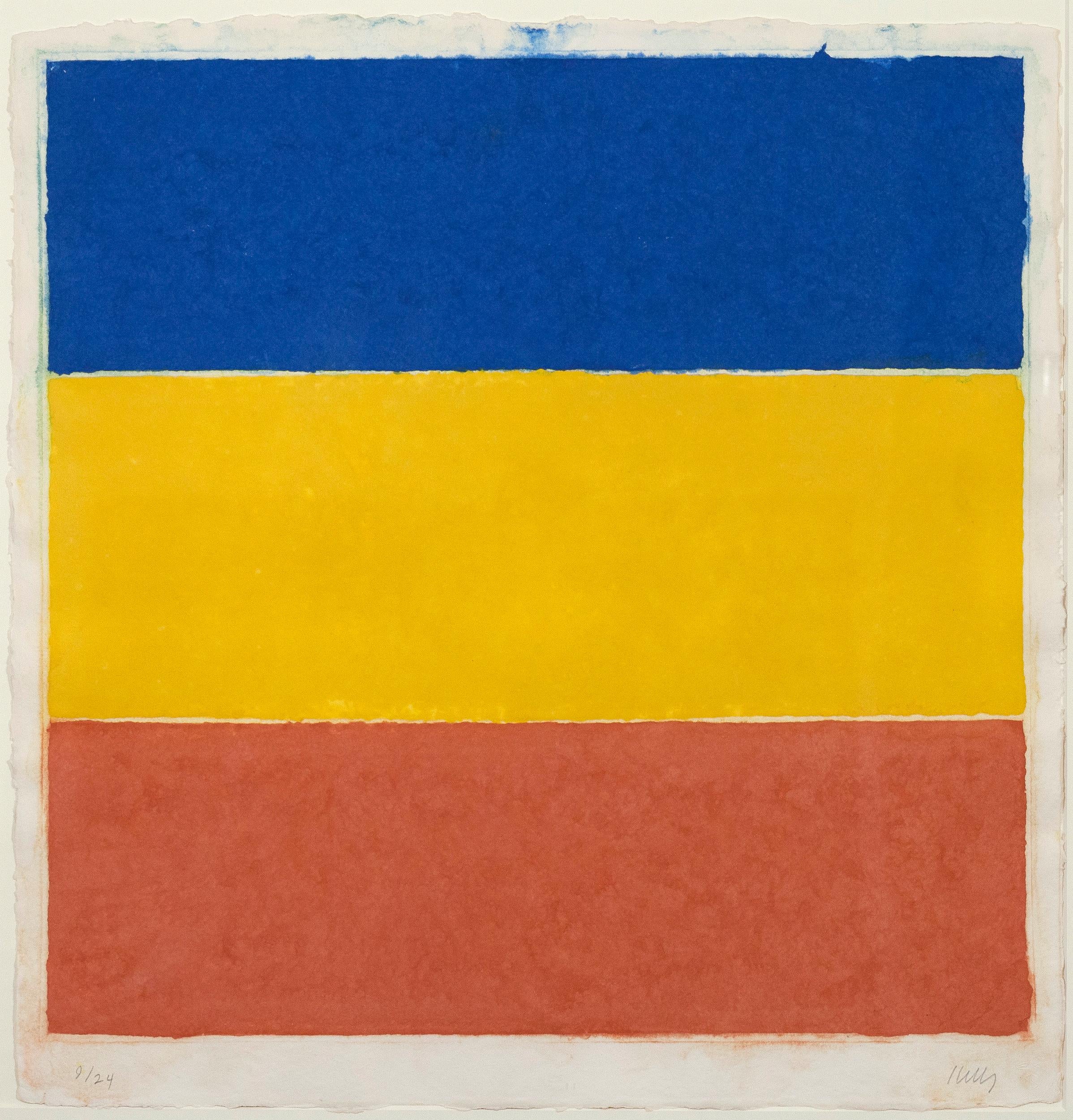 Ellsworth Kelly - Ellsworth Kelly "Color Paper XVI" at 1stDibs