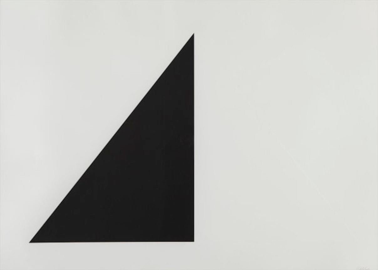 Ellsworth Kelly - Nine Squares at 1stDibs