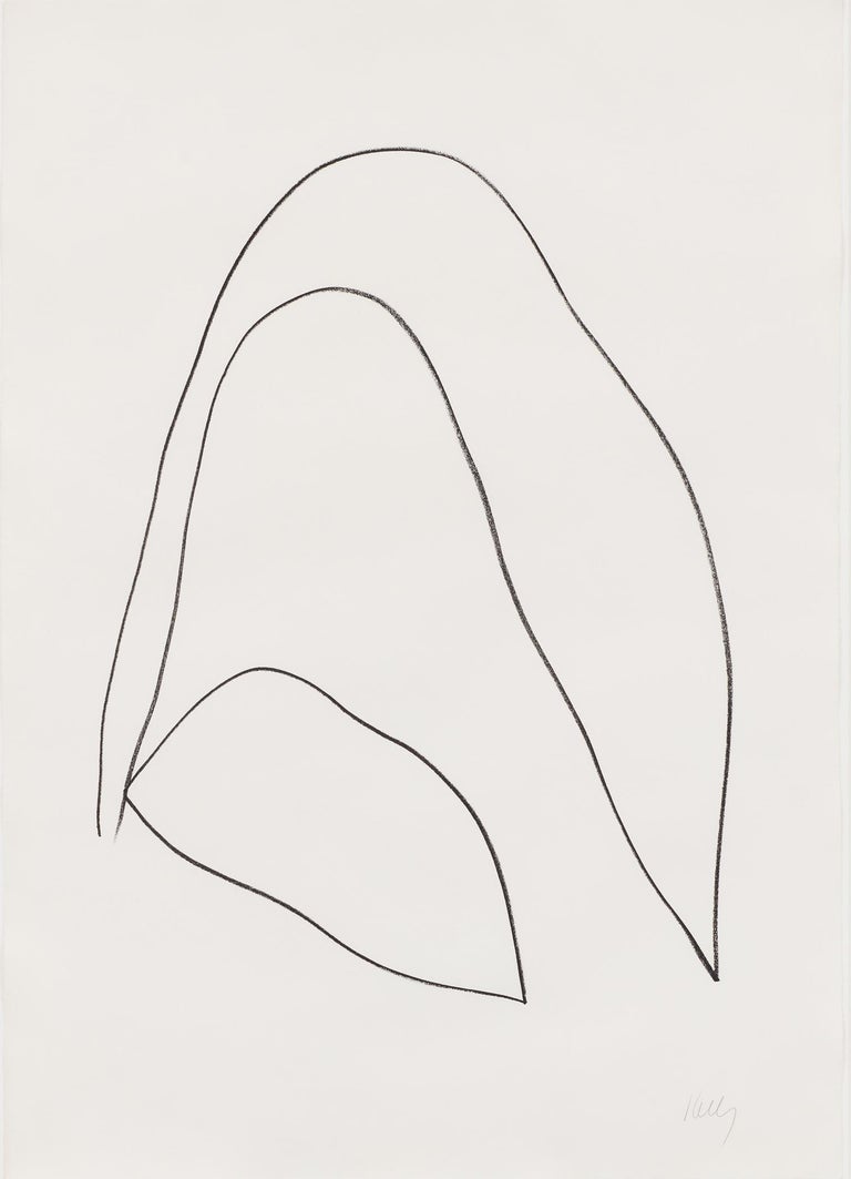 Ellsworth Kelly - Leaves For Sale at 1stDibs