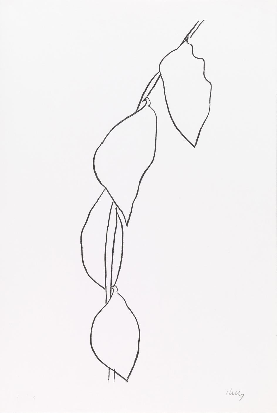 Ellsworth Kelly Art - 74 For Sale at 1stDibs | artist ellsworth kelly ...