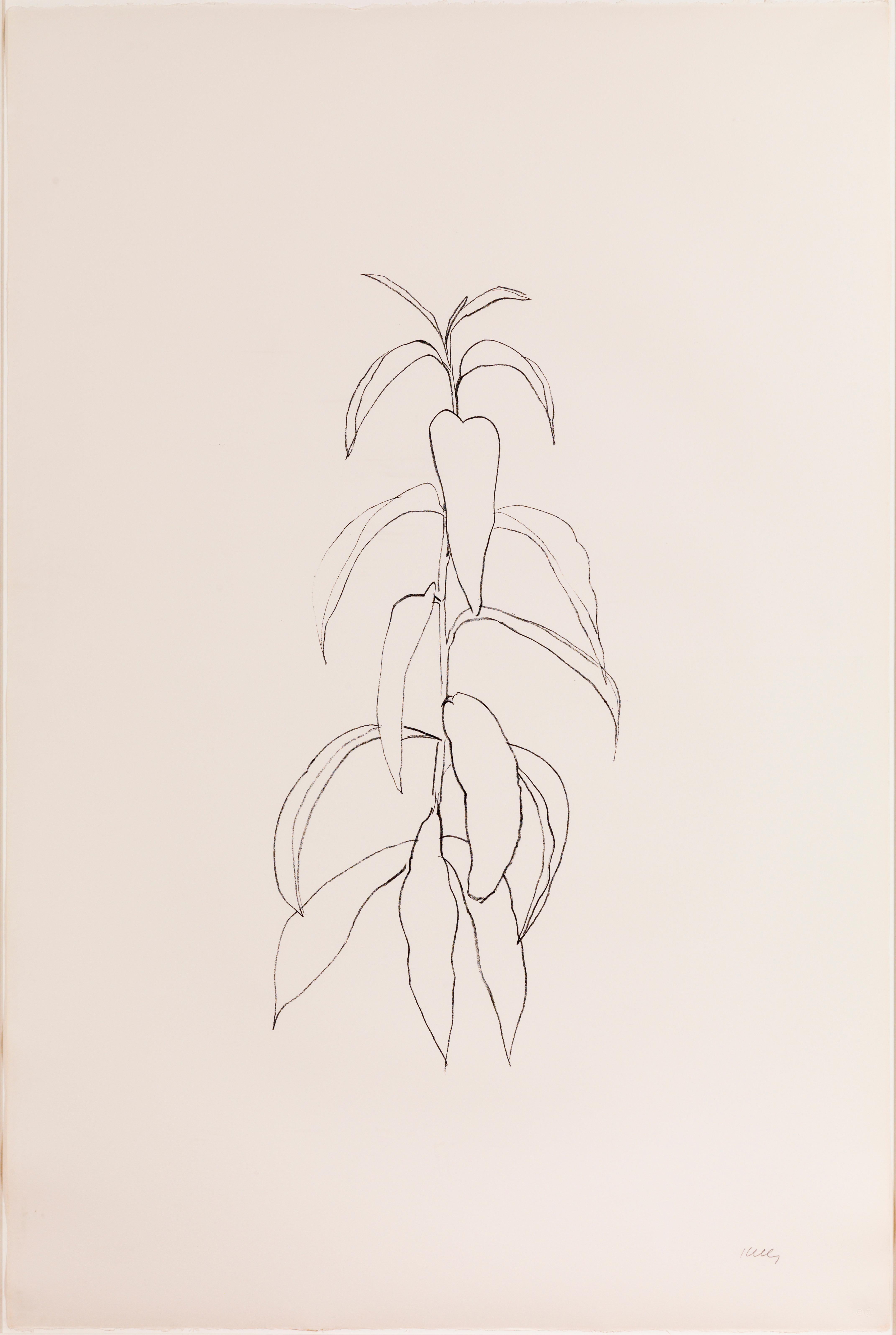 Ellsworth Kelly - Philodendron I For Sale at 1stDibs | ellsworth kelly ...