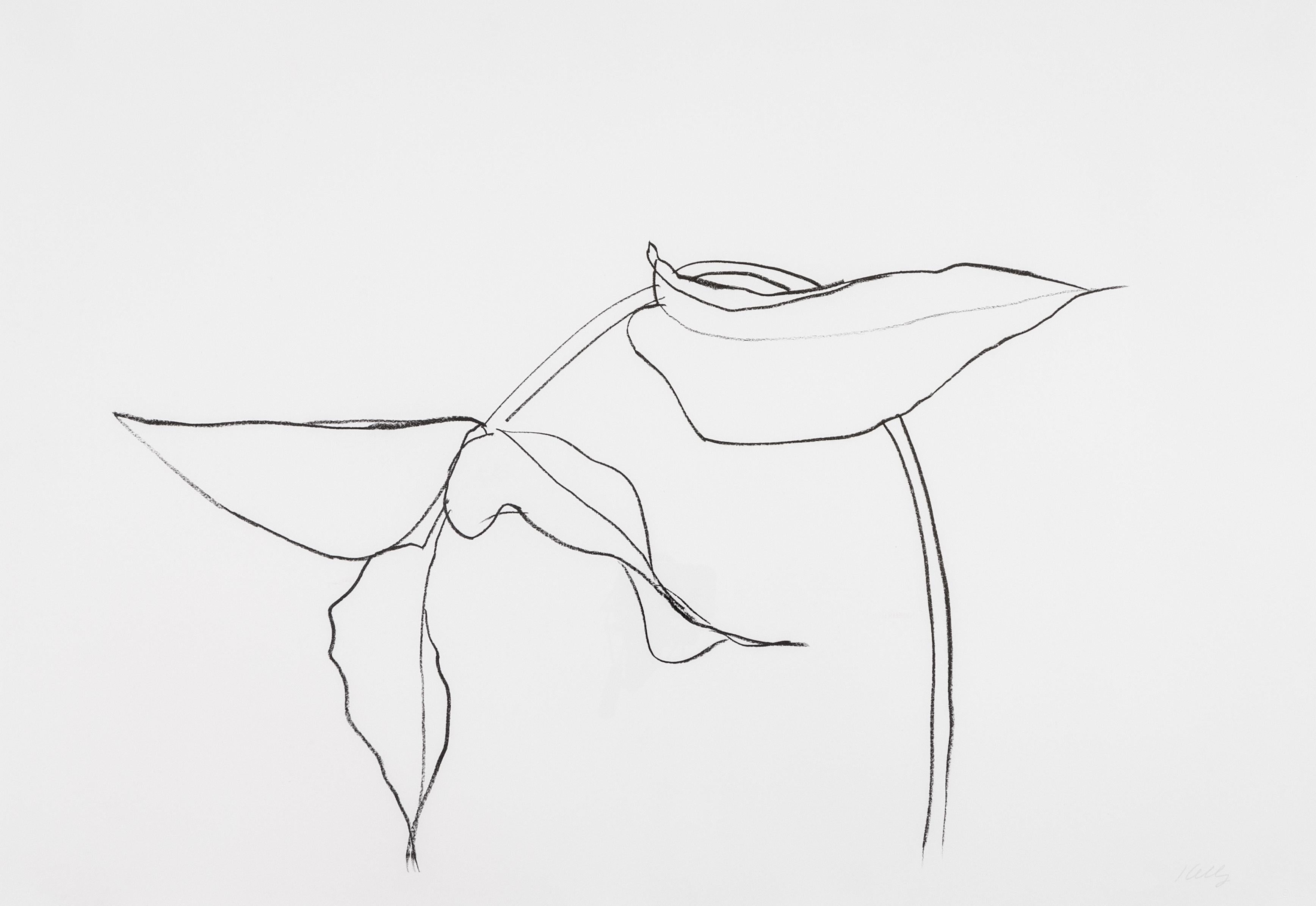 Ellsworth Kelly - Philodendron I For Sale at 1stDibs | ellsworth kelly ...