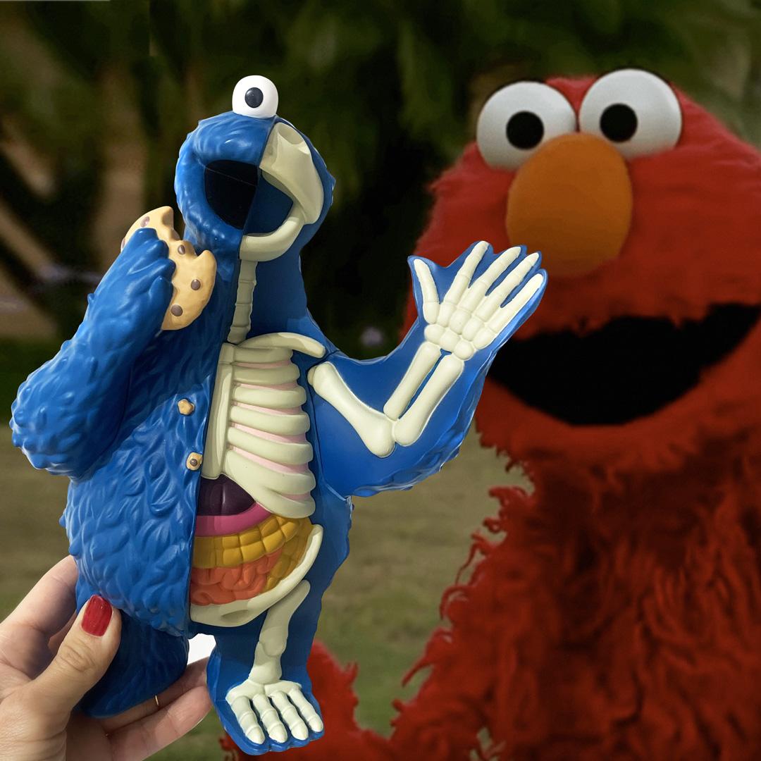 elmo xxray - Xxray Plus_ Cookie Monster For Sale at 1stDibs