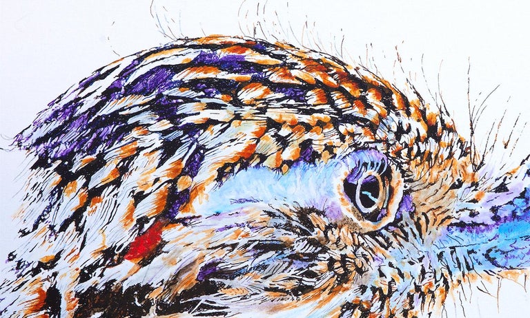 Emil Morhardt - Greater Roadrunner #4, Original Painting For Sale at ...
