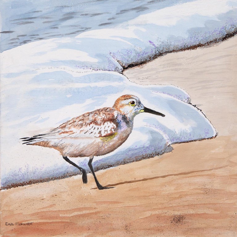 Emil Morhardt - Sanderling #22, Original Painting For Sale at 1stDibs
