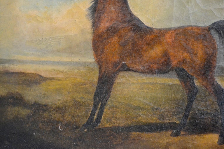 Emil Volkers - Horse - Oil on Canvas y E. Volkers - Late 19th Century ...