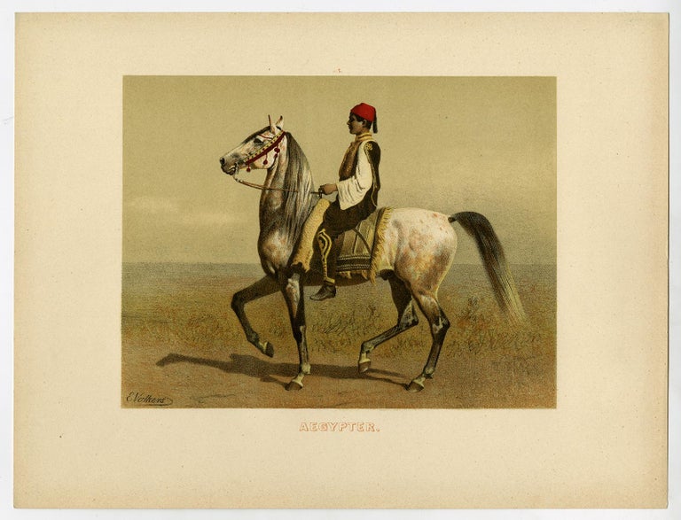Emil Volkers - The Egyptian horse by Emil Volkers - Lithograph - 19th ...