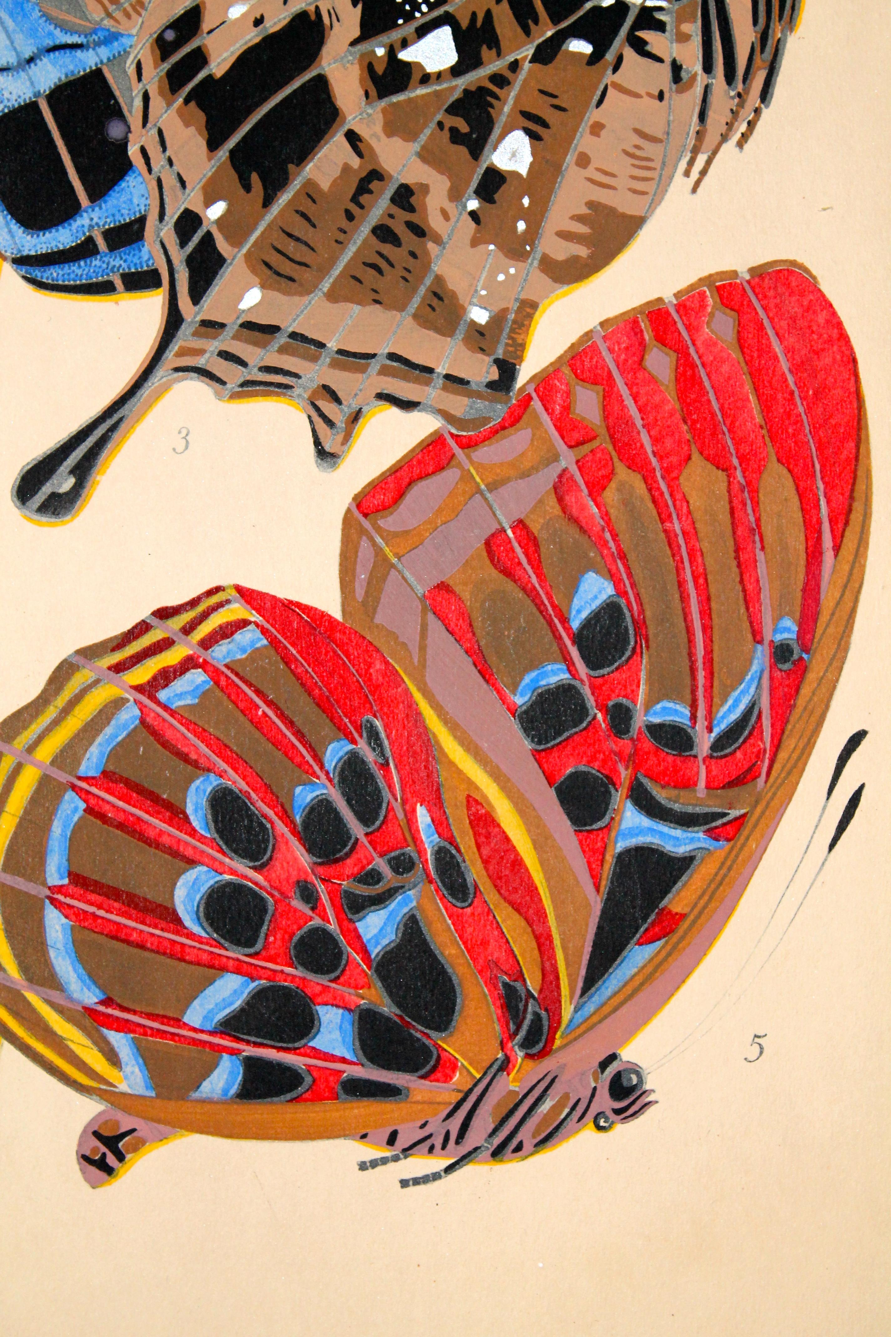 Emile-Alain Seguy "Papillons' Plate 4 French Art Deco at 1stDibs ...