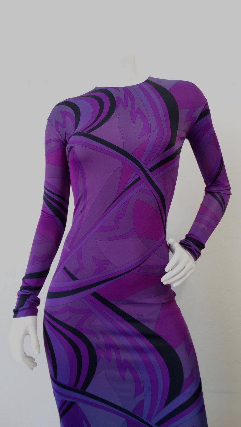 Emilio Pucci Fall 2010 Runway Printed Gown at 1stDibs