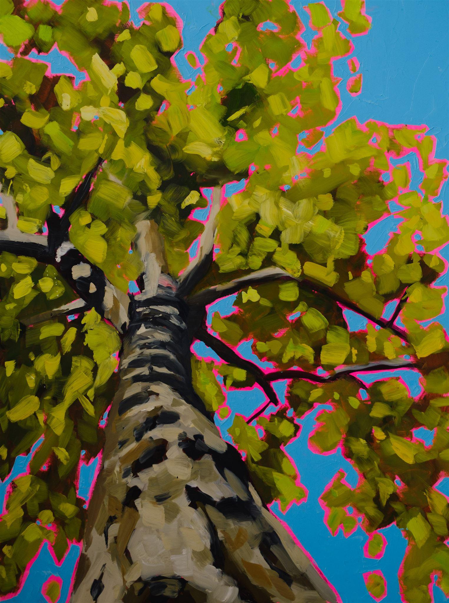 Emily Finch - Looking up through a Forest For Change Birch tree to ...