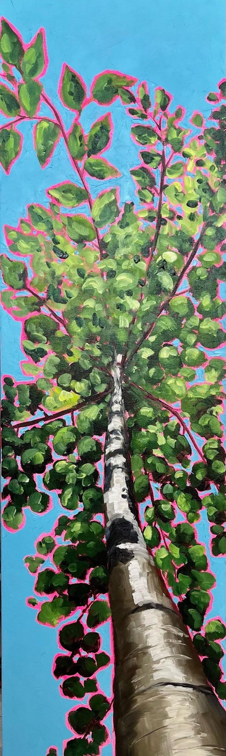 Emily Finch - Looking up through a birch tree to calm my frustrations ...