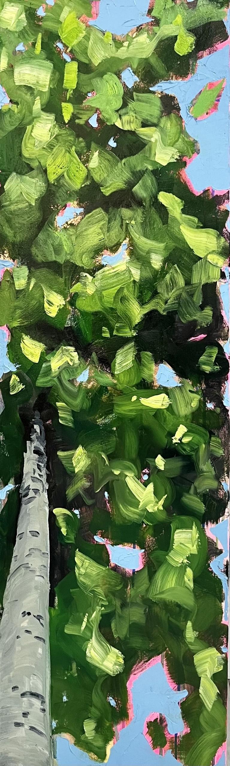 Emily Finch - Looking up through birch leaves to calm my busy mind at ...