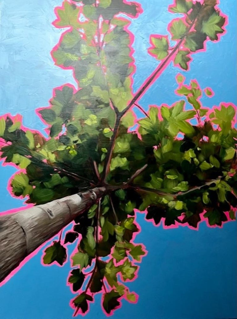 Emily Finch - Looking up through the forest for change to sunnier times ...