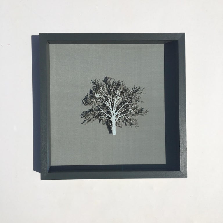 Emma Levine - Emma Levine, White Oak, Original Paper Cut, Contemporary ...