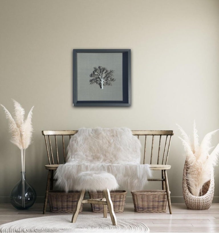 Emma Levine - Emma Levine, White Oak, Original Paper Cut, Contemporary ...