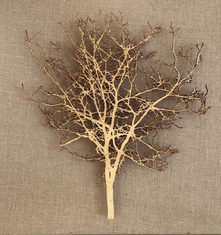 Emma Levine - Fawn Hawthorne, Contemporary 3D Tree Art, Original Paper ...