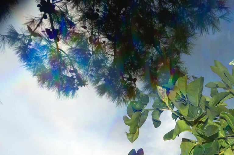 Emma Summerton - Hydrea #001 – Emma Summerton, Fashion, Model, Fine Art ...