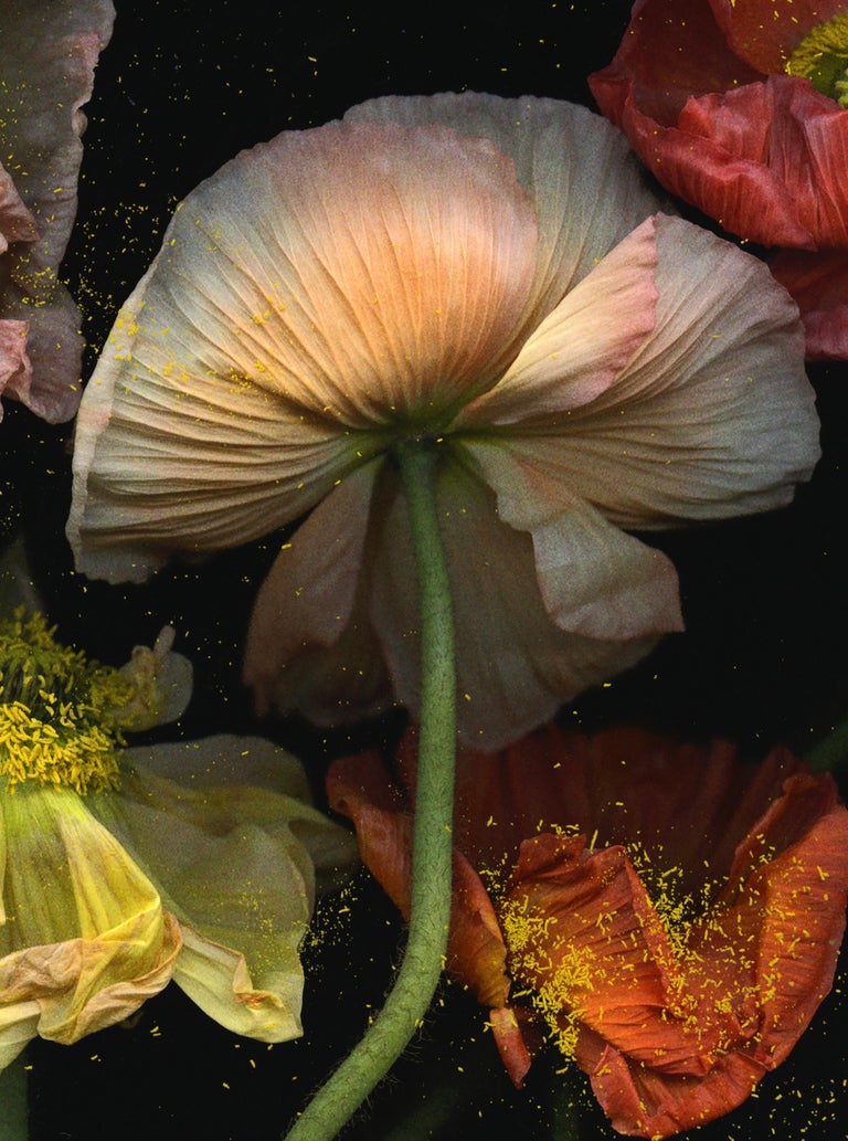 Emma Summerton - Not titled yet – Emma Summerton, Fashion, Model, Fine ...