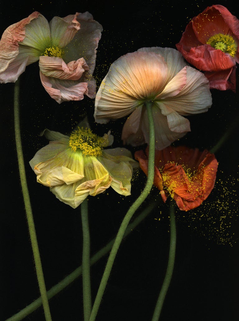 Emma Summerton - Not titled yet – Emma Summerton, Fashion, Model, Fine ...