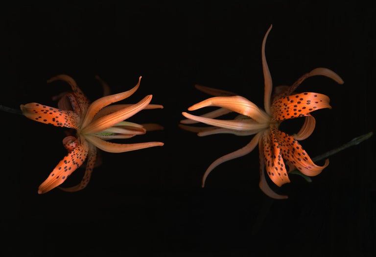 Emma Summerton - Not titled yet – Emma Summerton, Fashion, Model, Fine ...