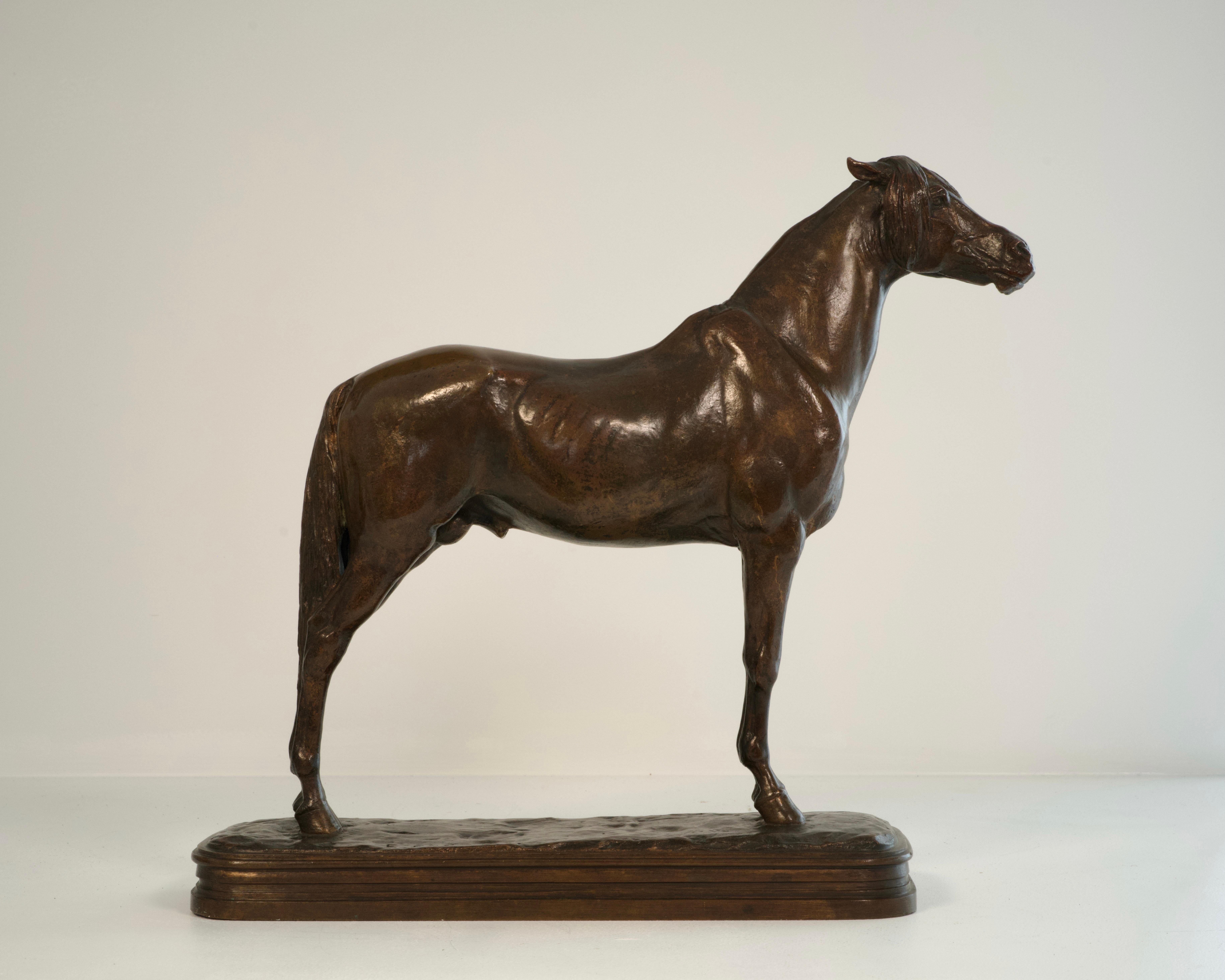 Pierre Jules Mêne - Arabian horse (Ibrahim) N°1 - Bronze sculpture by ...