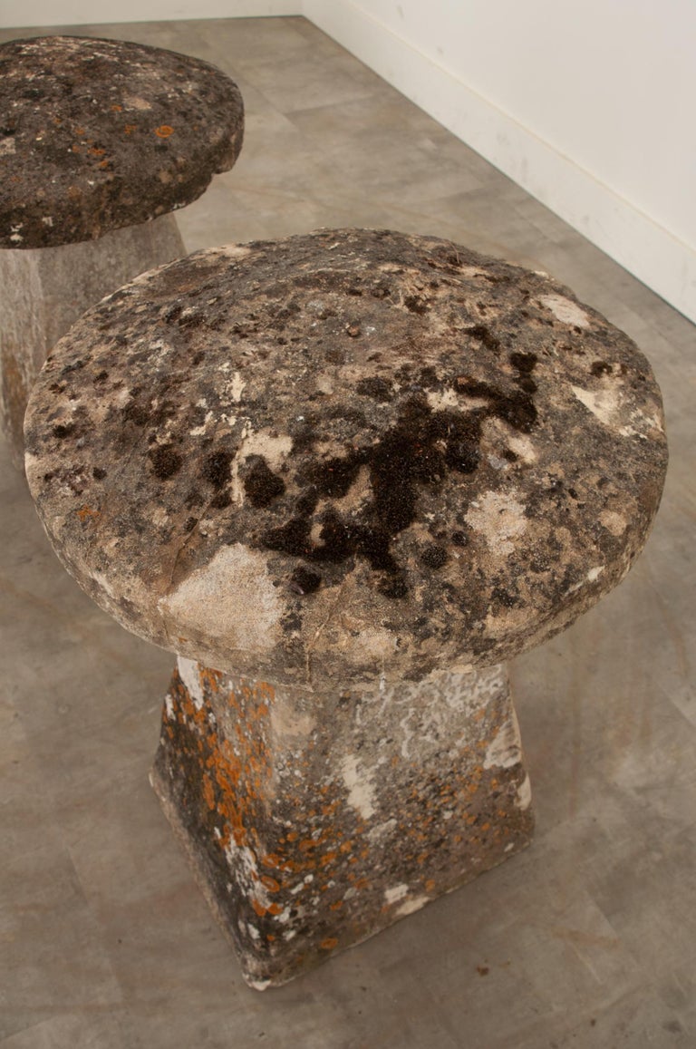 English 18th Century Pair of Staddlestones For Sale at 1stDibs