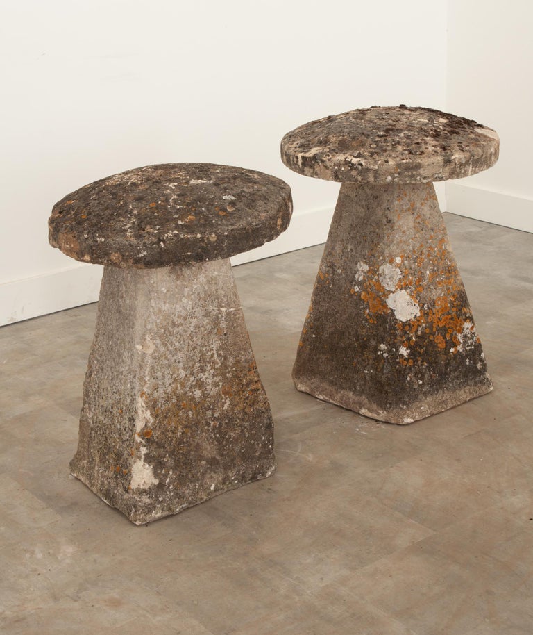 English 18th Century Pair of Staddlestones For Sale at 1stDibs