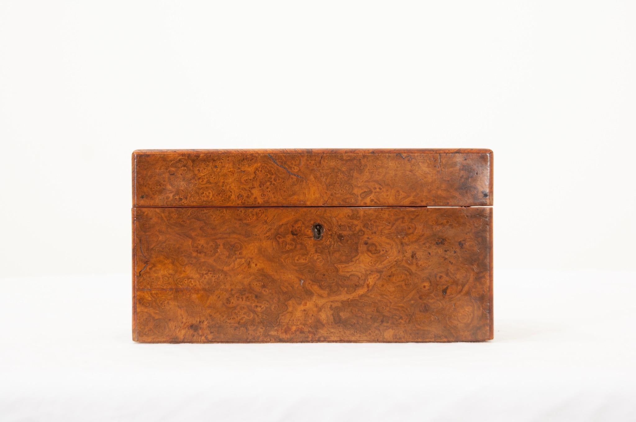 English 19th Century Burl Wood Box For Sale at 1stDibs