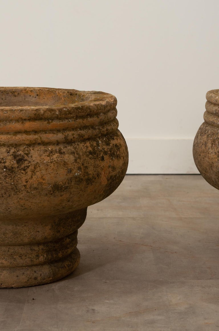 English 19th Century Heavy Terracotta Planters For Sale at 1stDibs