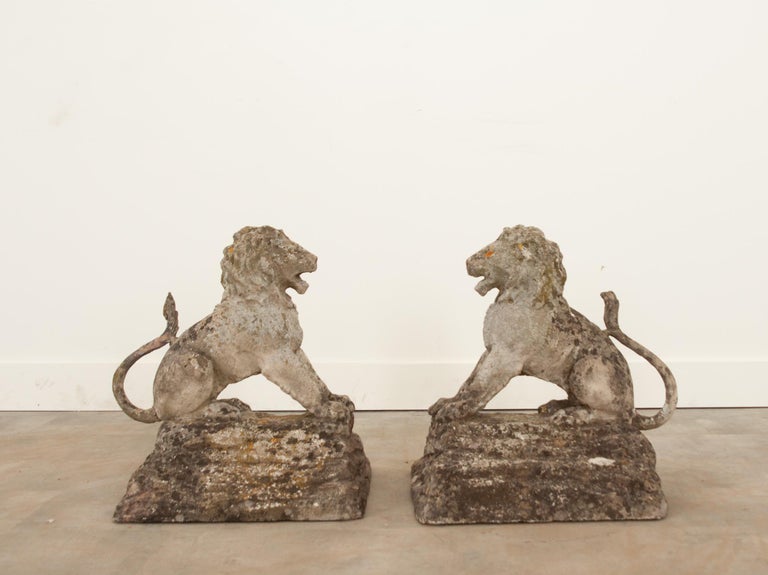 English 19th Century Pair of Stone Lions For Sale at 1stDibs